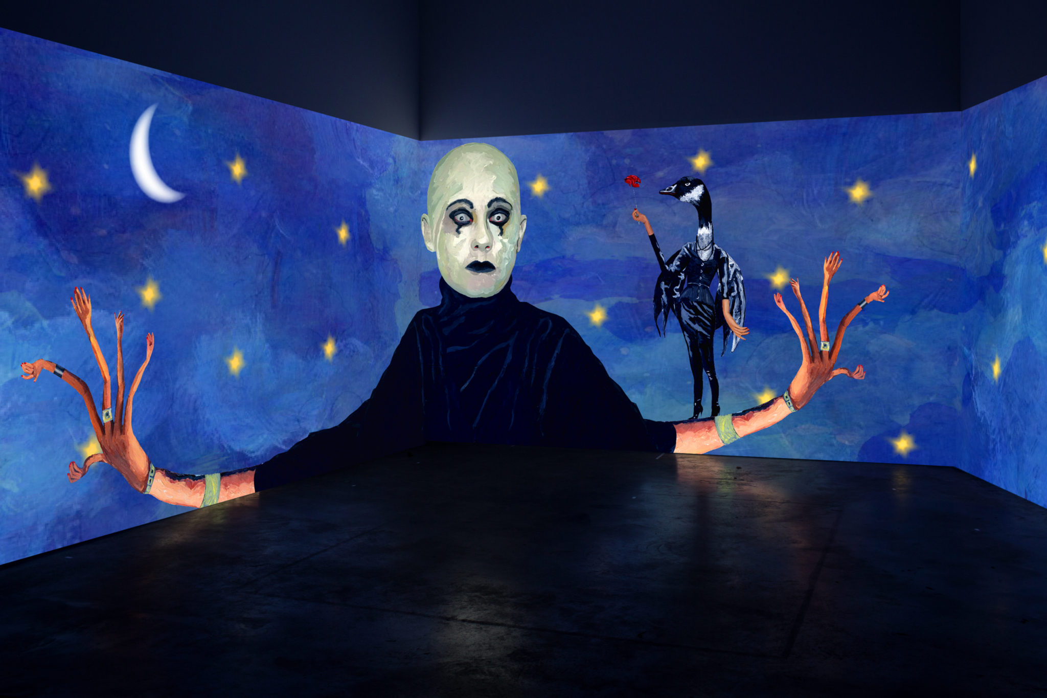 Misread Signs | The Puffin Foundation