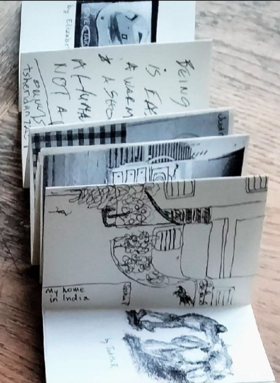 The Puffin Spotlight: Issue 13 | The Puffin Foundation